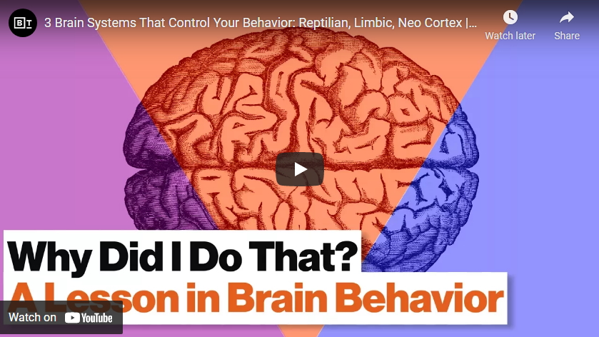 Brain Systems That Control Your Behavior – The Church of Tinkerbell